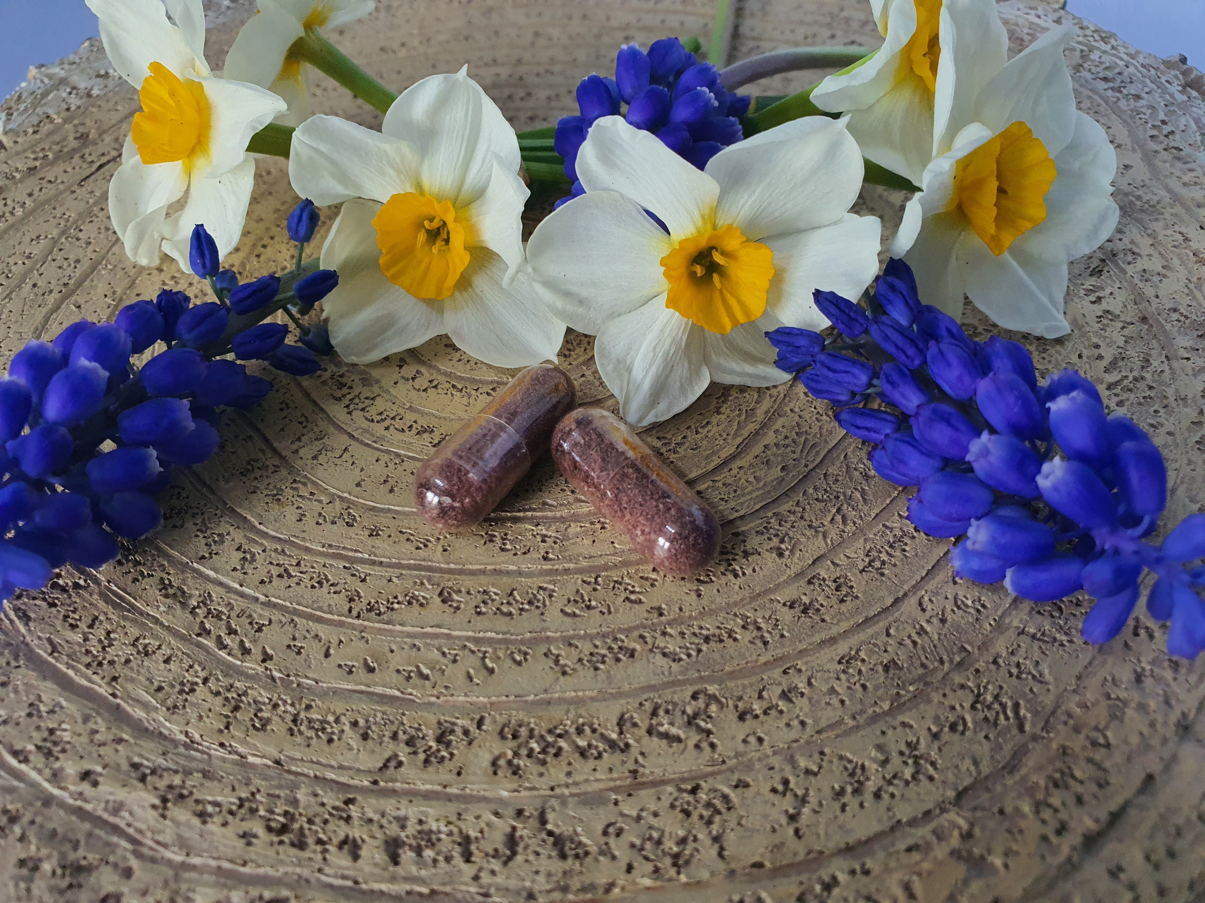 Simple Placenta Capsules | Placenta Pills | Placenta Encapsulation ...